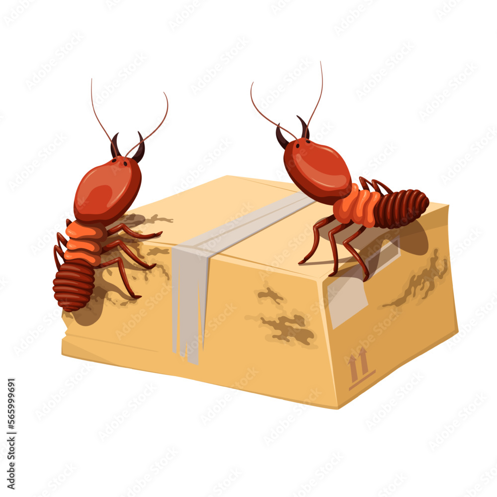 Broken cardboard box damaged by termites and ants vector illustration ...