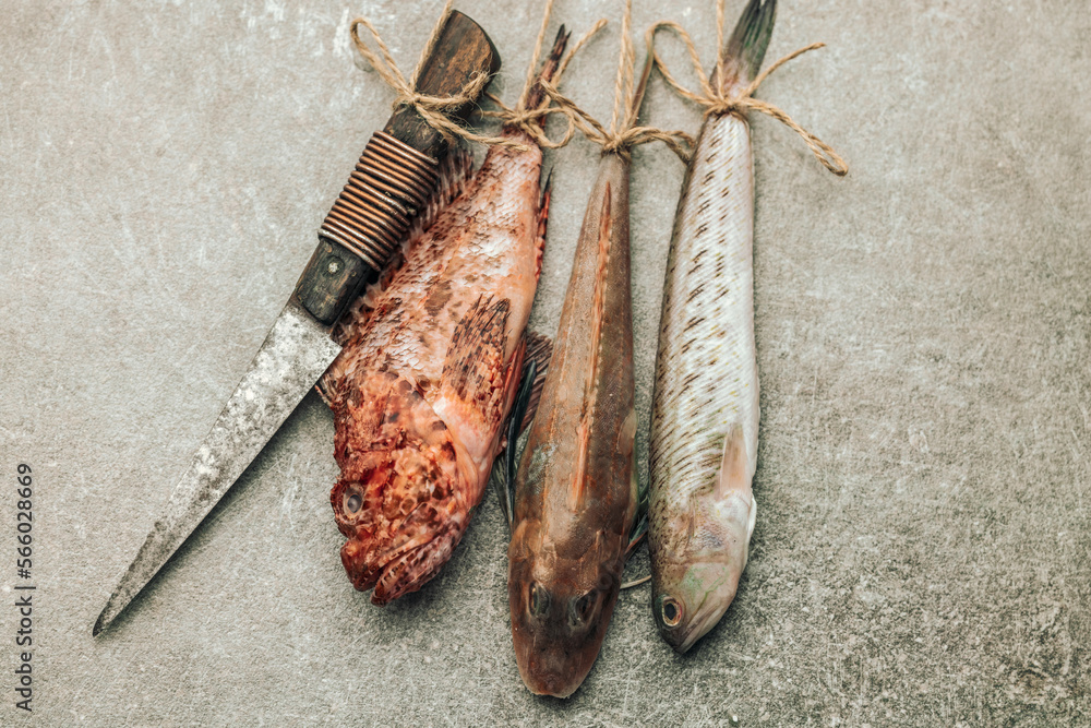 Foto de concept of fresh marine food illustrated by uncooked 3 types of ...