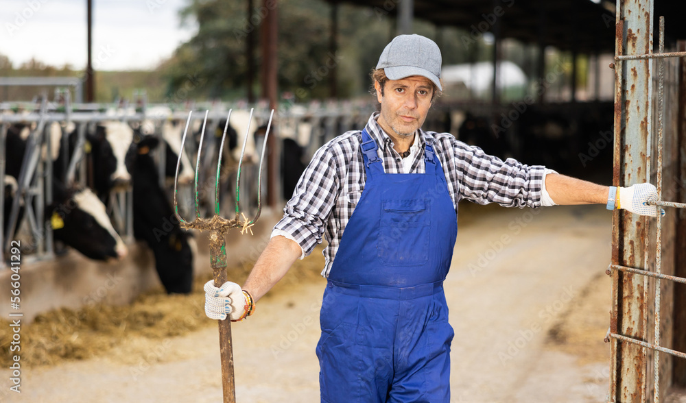 Confident middle-aged owner of farm standing with rake during ...