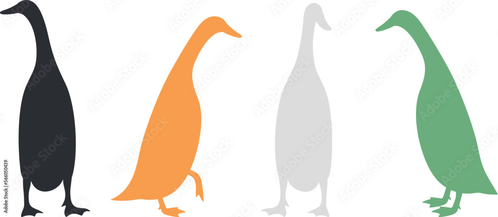 Indian runner ducks silhouette. Isolated indian runner ducks on white ...