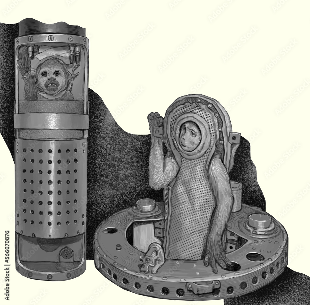 Chimpanzee sign language deaf and dumb clever serious smart primate ...