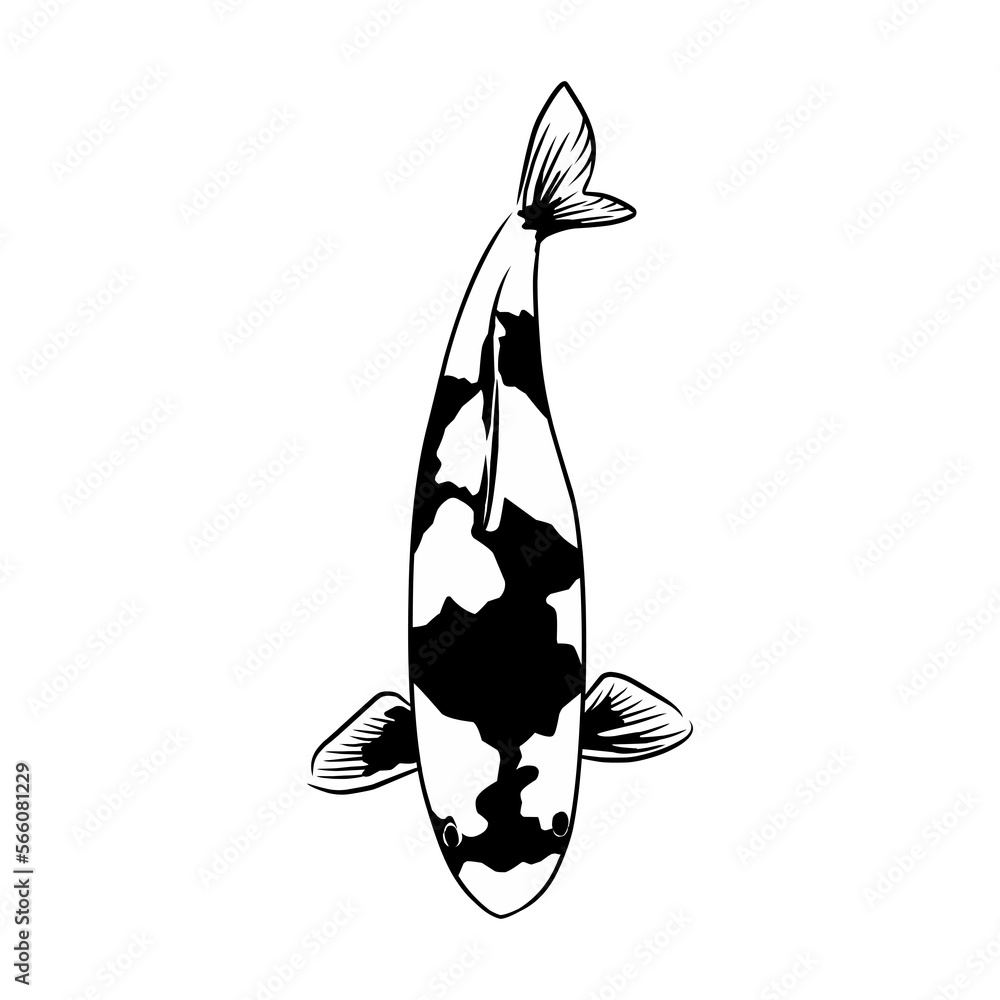 koi fish vector transparent background. elegant koi image of shiro ...