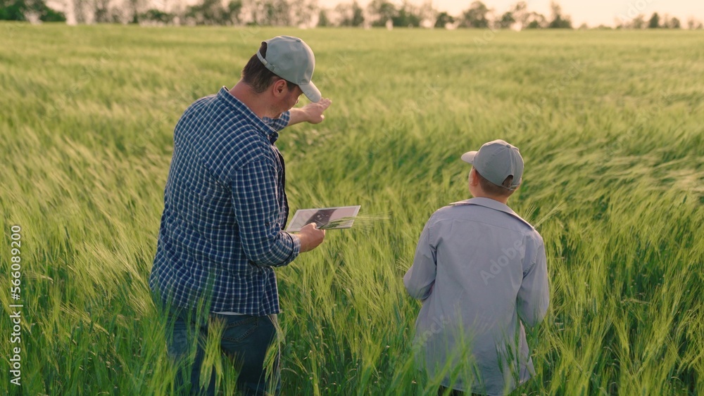 Farmer father works with digital tablet in wheat field with his little ...