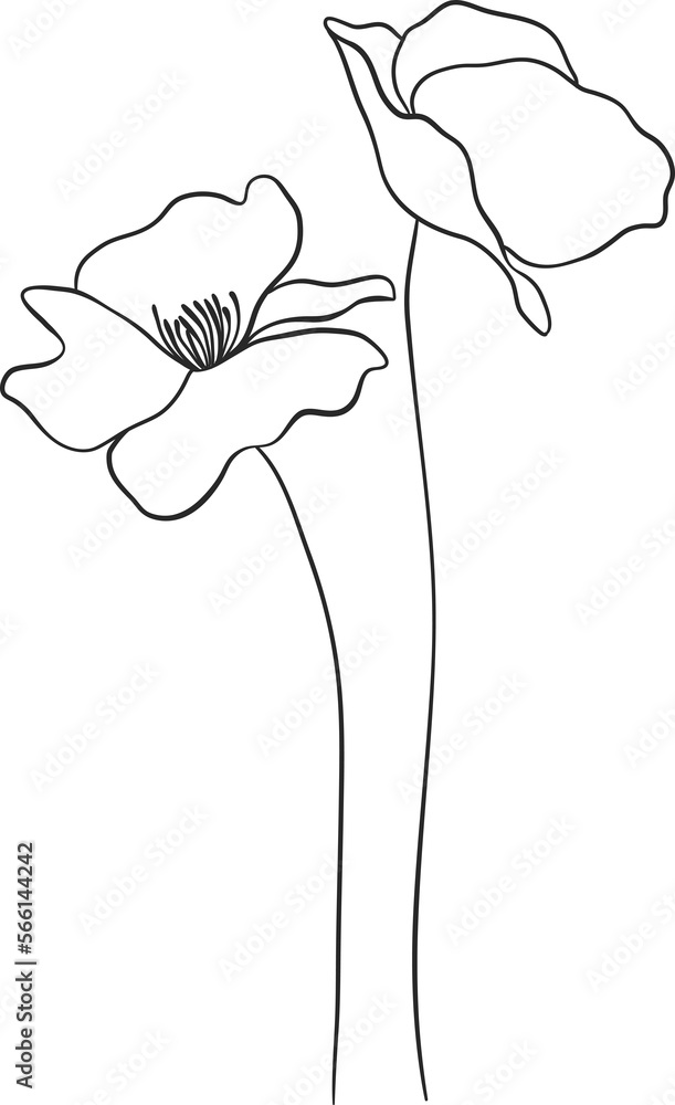 Hand drawn botanical flower line art Stock Illustration | Adobe Stock
