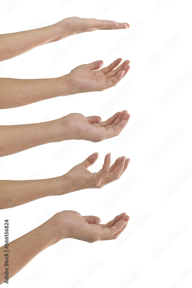 Collection of hands gestures isolated on transparent background PNG ...