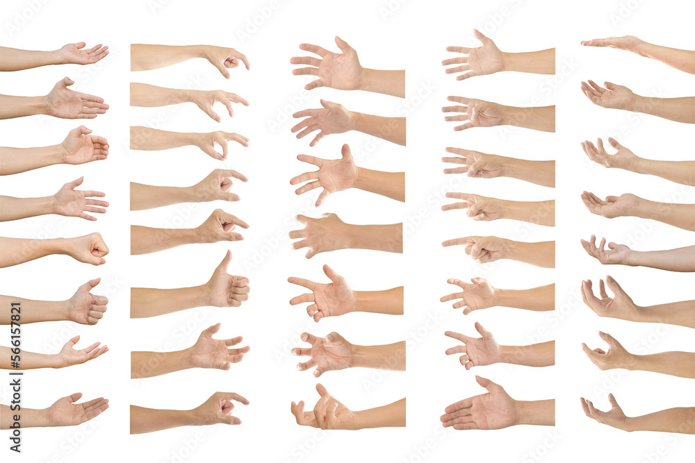 Collection of human hands in multiple gesture on transparent background ...