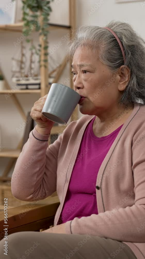 Vidéo Stock Vertical Screen: lonely asian grey haired grandma gazing ...
