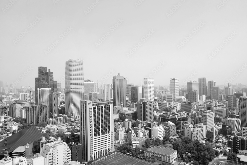 Tokyo city skyline, Japan - Minato and Roppongi districts. Black and ...