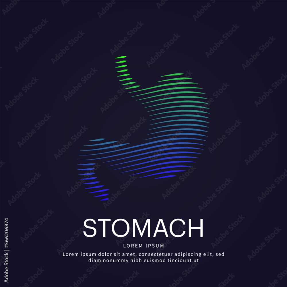 Human stomach medical structure. Vector logo stomach care color ...
