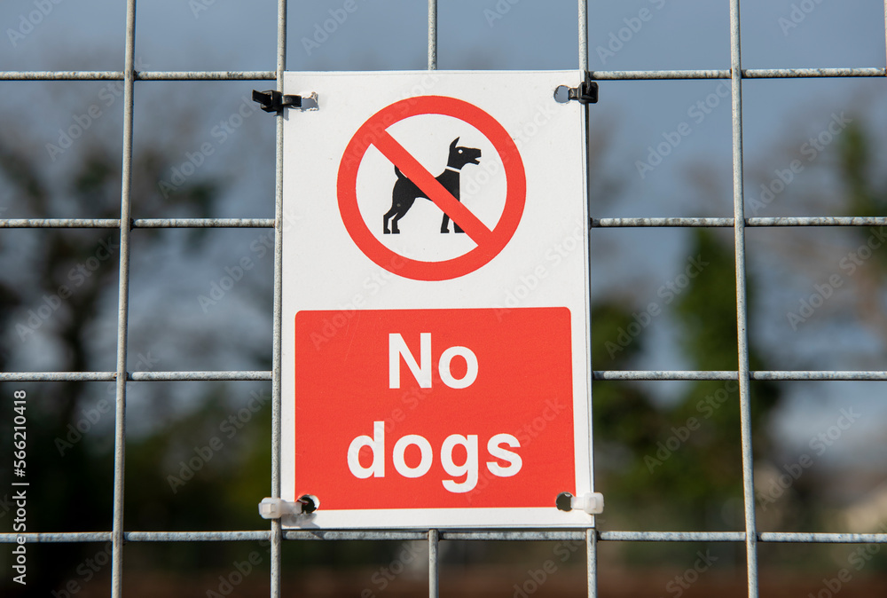 No dogs warning sign on wire mesh fencing with blue sky background ...