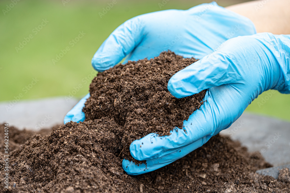 Foto de Hand holding peat moss organic matter improve soil for ...