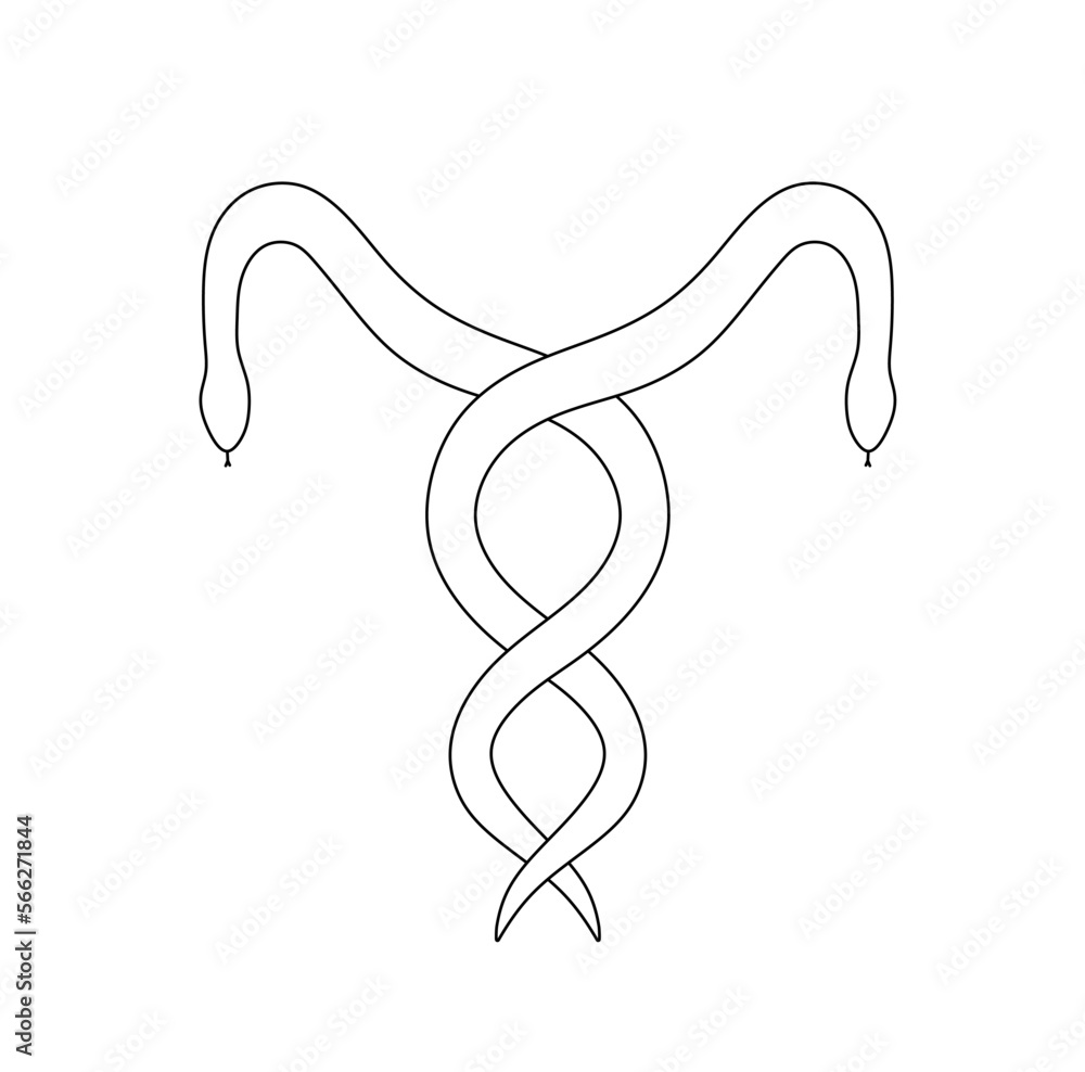 Vector isolated two intertwined snakes symmetrical colorless black and ...