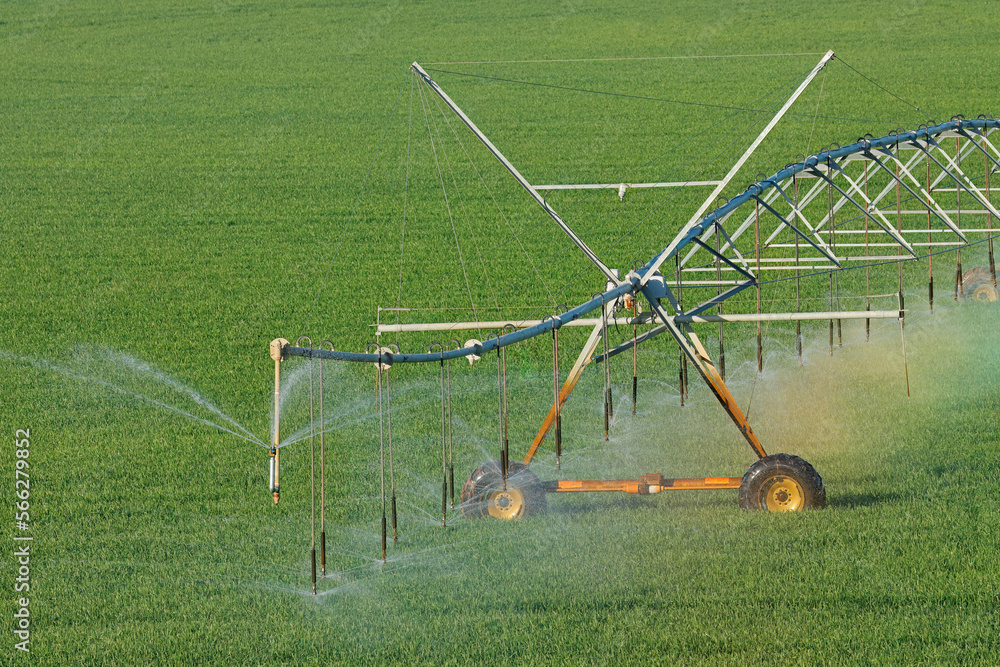 Water sprinklers of a center pivot irrigation system on lush green ...