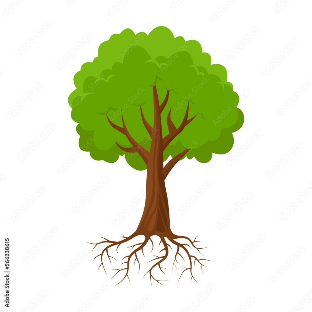 Big Tree Drawing With Roots