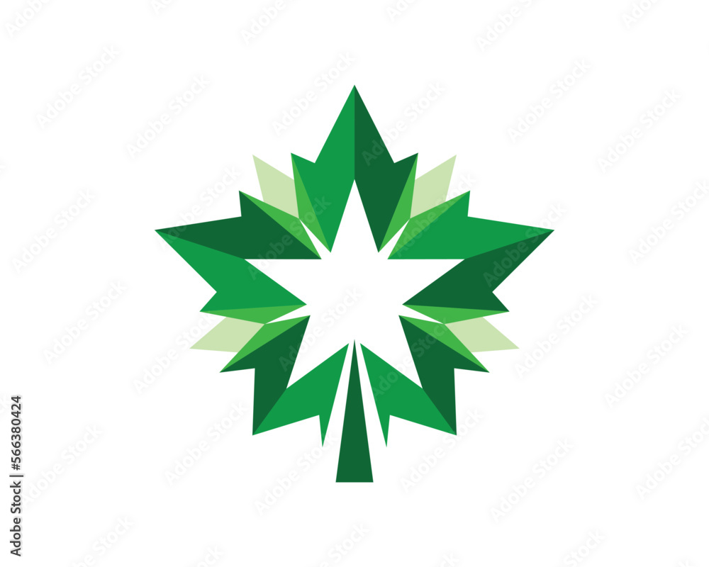 green star mapple leaf Stock Vector | Adobe Stock
