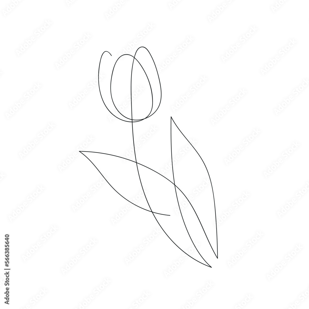 Tulip drawn in one continuous line. One line drawing, minimalism ...