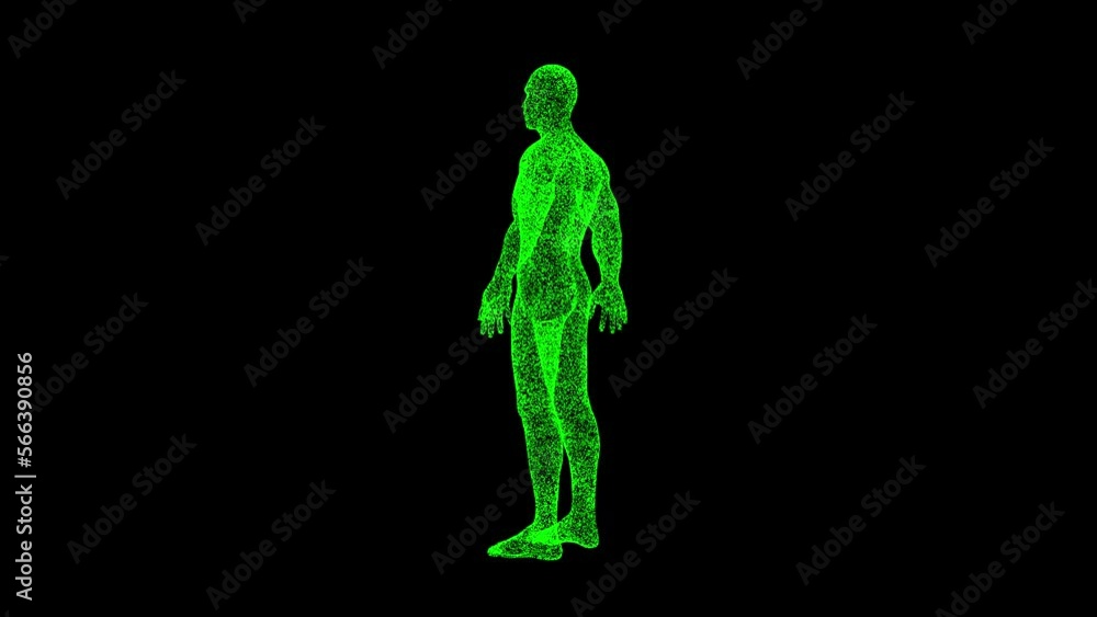 3D human body rotates on black background. Object dissolved green ...