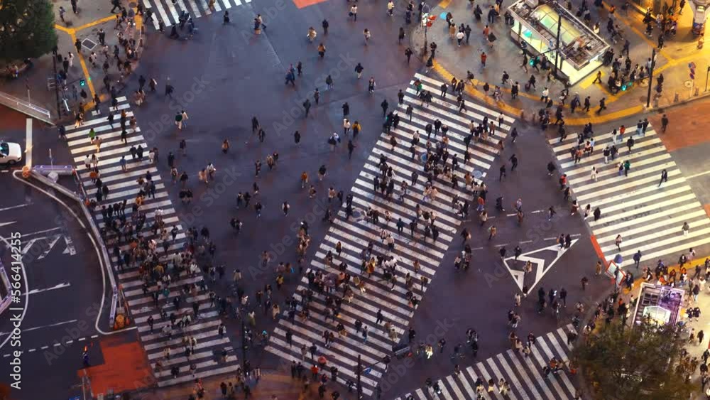 TOKYO - OCT 3rd, 2022: Aerial view of people and traffic crossing the ...
