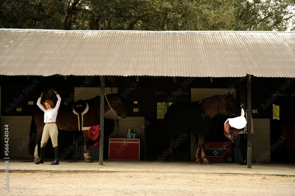 An equestrian dons her jacket in preparation for a traditional fox hunt ...