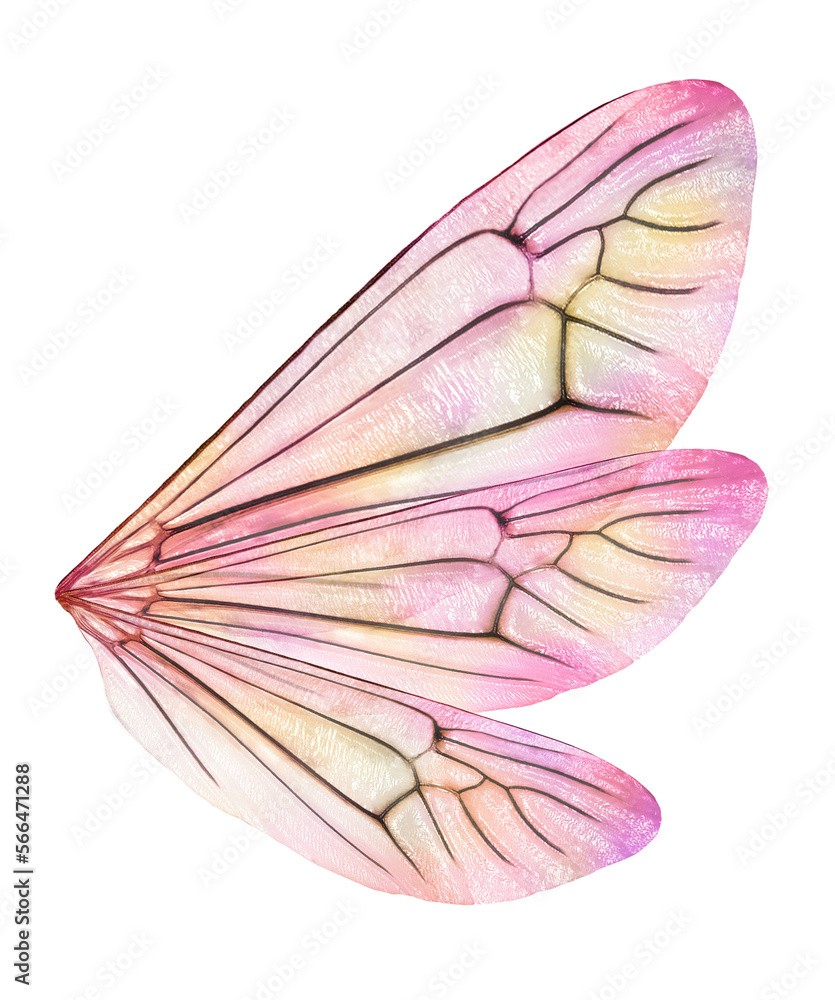 Png Fairy Wing Overlay 8 By ATP Textures Stock Illustration | Adobe Stock