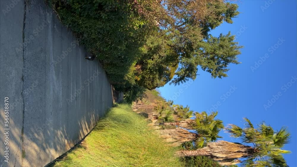 SOCHI, RUSSIA - January 2023: The territory of the park in the city of ...