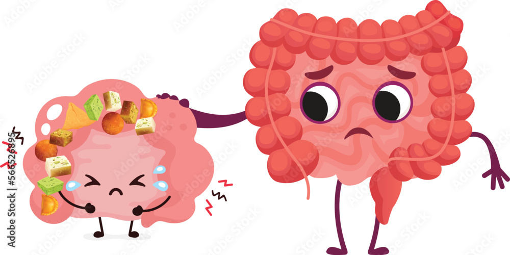 The large intestine helps the small intestine diagnostic the food Stock ...