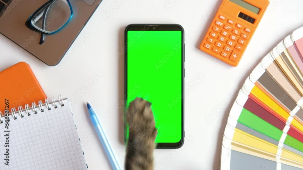 Cat Fur Paw touching, clicking, tapping and swiping on mobile phone ...