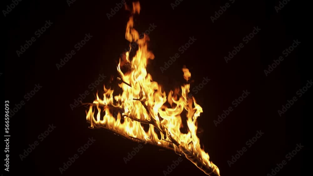 Stockvideo Slow Motion Shot: Wooden Tree Branch Set on Fire on Black ...