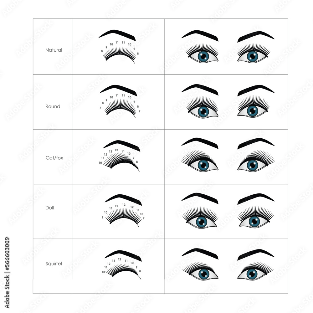 Eyelash Extension Guide. Direction schemes. Tips and tricks for eyelash extension. Infographic ...