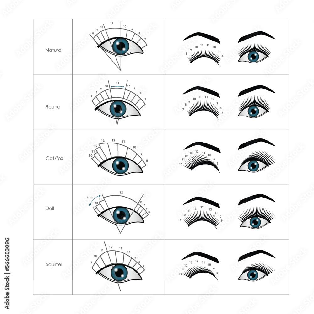 Vetor de Eyelash Extension Guide. Direction schemes. Tips and tricks ...
