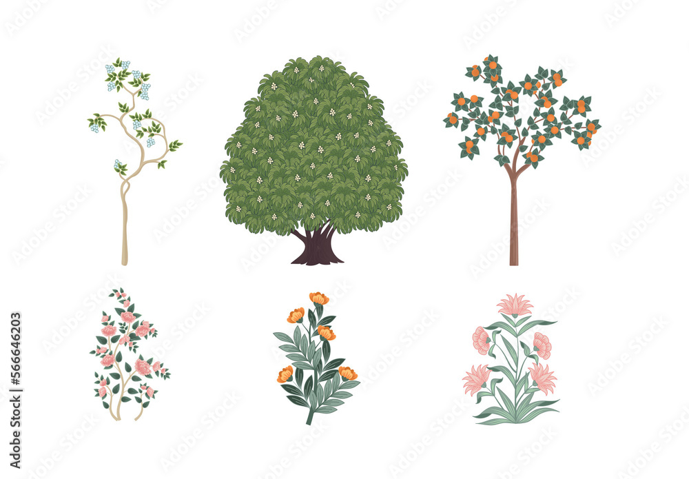 Tropical Trees Indian Botanical Design Elements Stock Template | Adobe ...