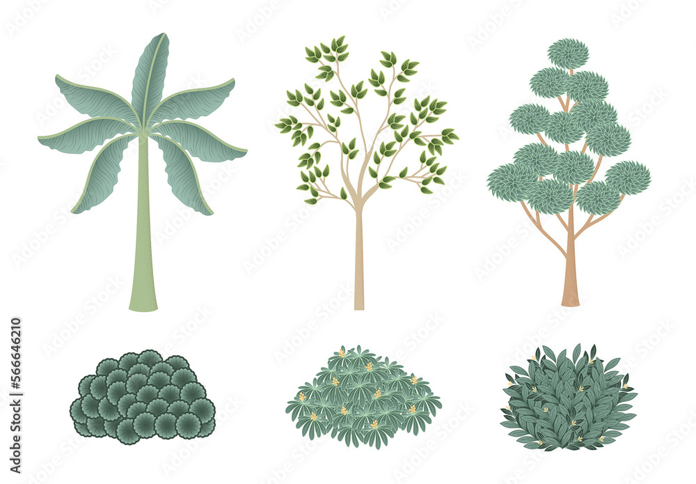 Tropical Trees Foliage Indian Design Elements Stock Template | Adobe Stock