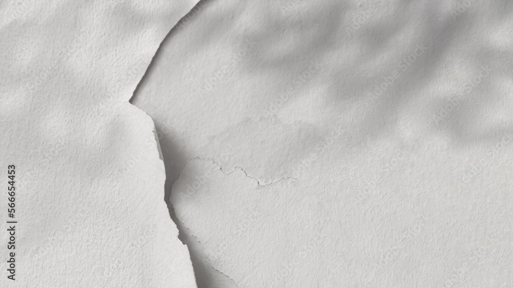 Concrete wall texture with Leaves Shadow or Overlay on Crack white ...