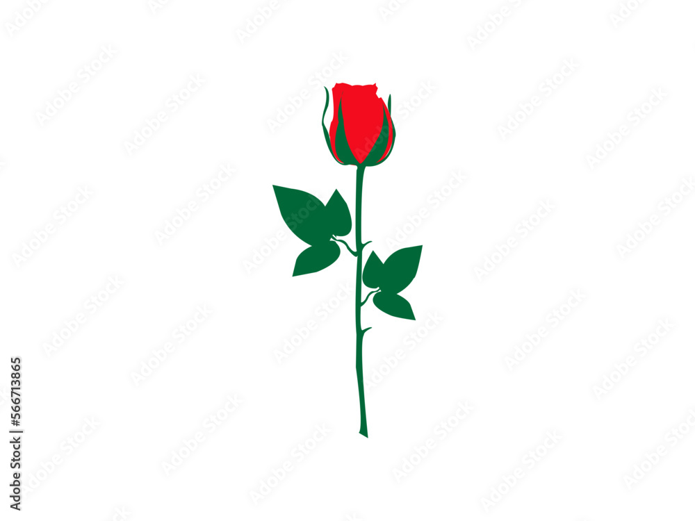red rose isolated on white. red rose with green leaf. red rose vector ...