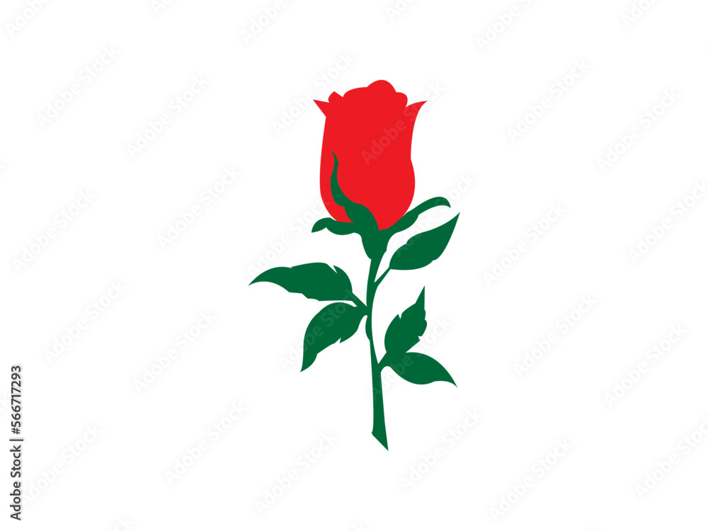red rose isolated on white background. red rose with green leaf. red ...