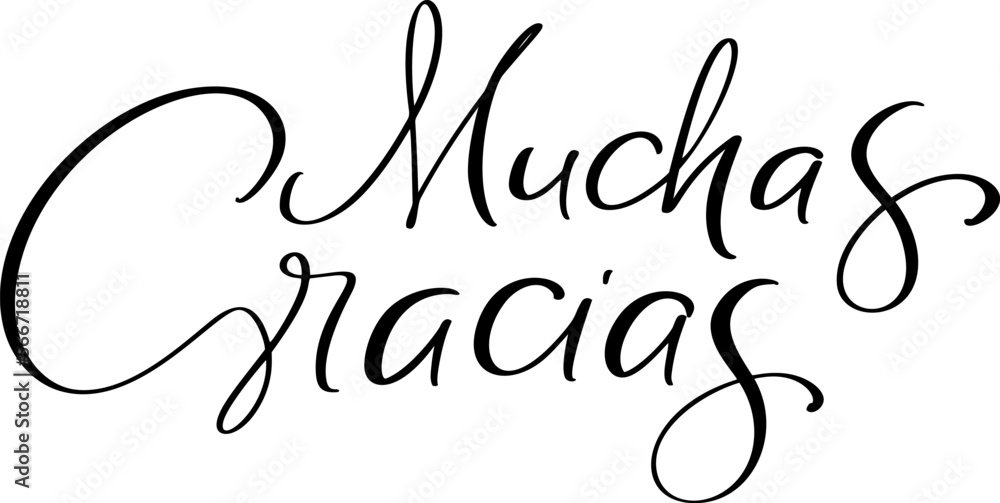 Thank you vector lettering text in spanish Muchas Gracias. Hand drawn ...