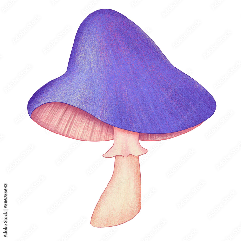 Purple toadstool isolated on transparent background Stock Illustration | Adobe Stock