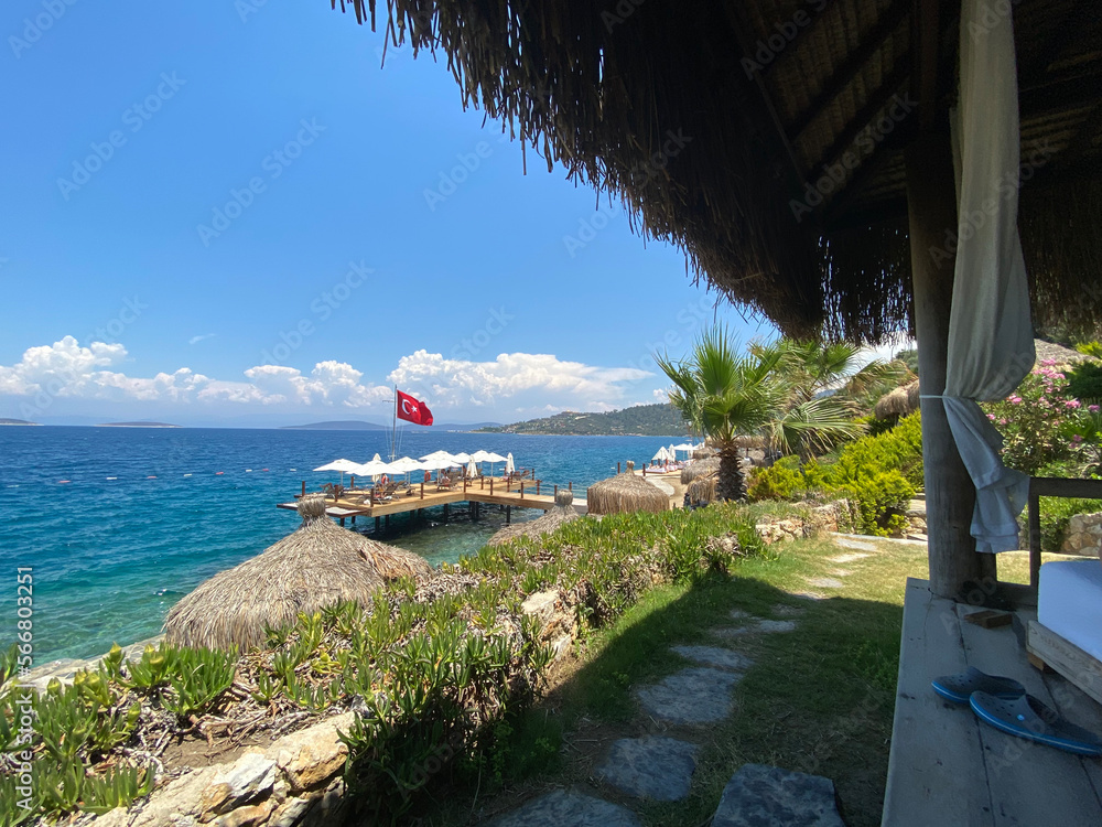 A holiday photo with a view of the sea, sand, sun, palm trees, pathway ...