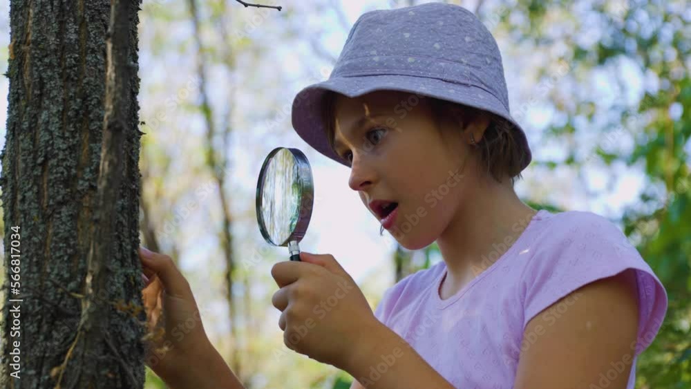 little child naturalist botanist with a magnifying glass is surprised ...