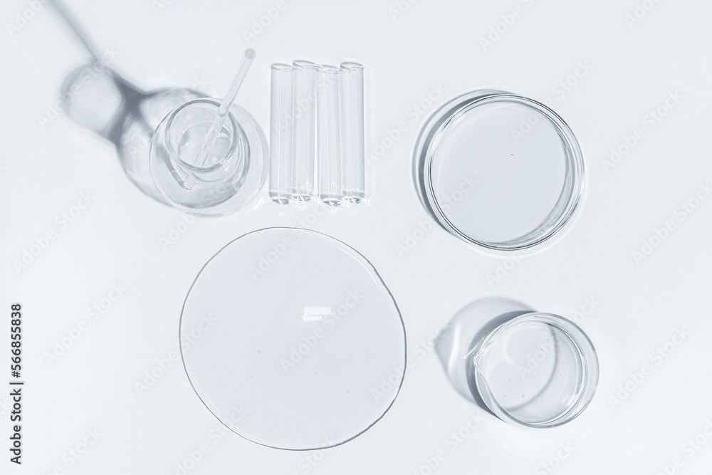 Petri dish, gel, flask, crystallization bowl. Test tubes, Laboratory ...