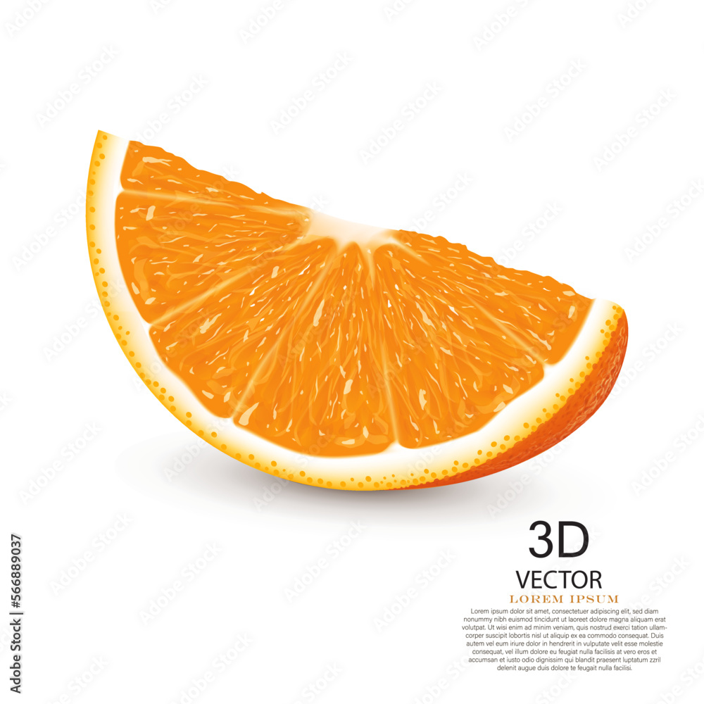 vector illustration realistic fresh orange slice design on the white ...