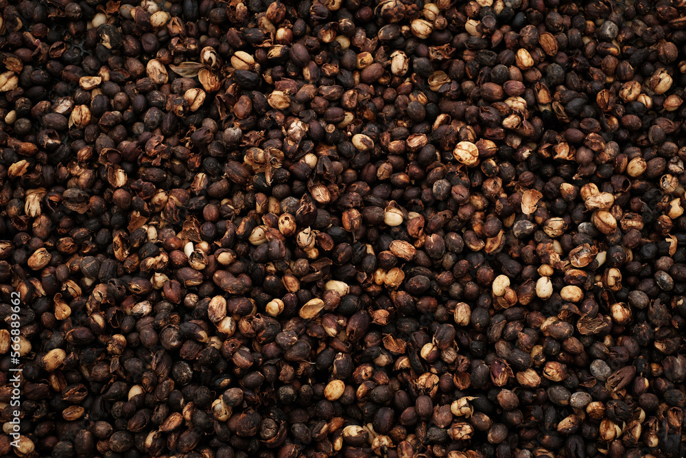 Coffee Processing ,Natural Dry Process ,Pulped-natural, Semi-dry ...