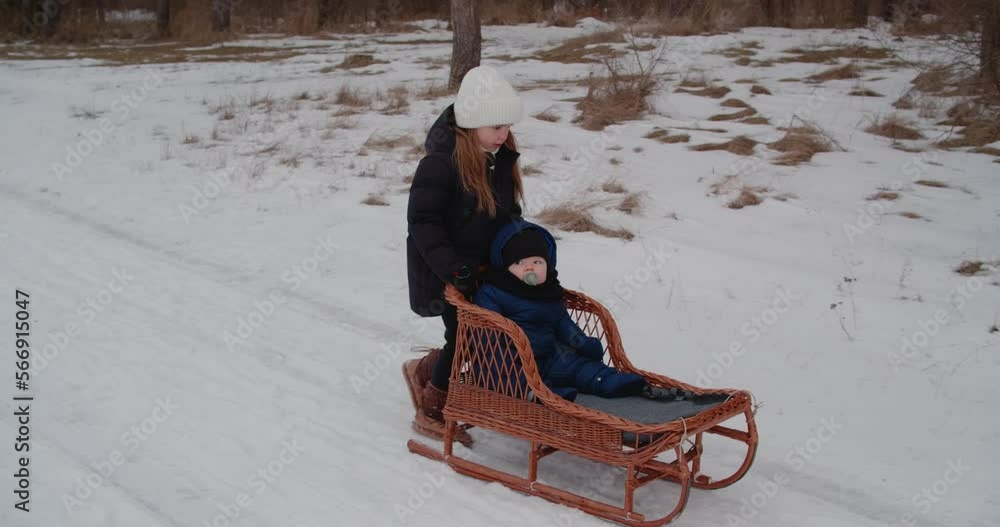Children riding sleigh. Happy European family walking have fun among ...