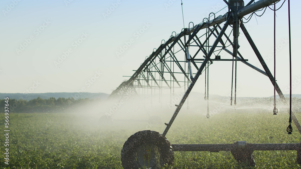 Side view pivot at work in potato field, watering crop for more growth ...