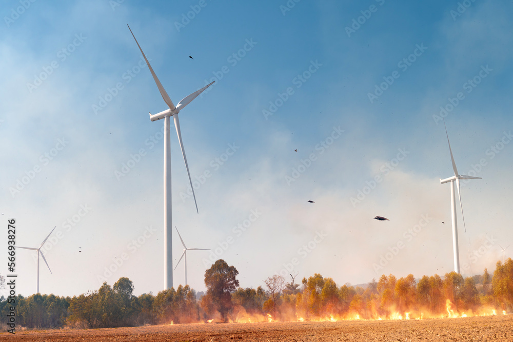 Electric wind turbines and forest fires from dry nature Or caused by ...