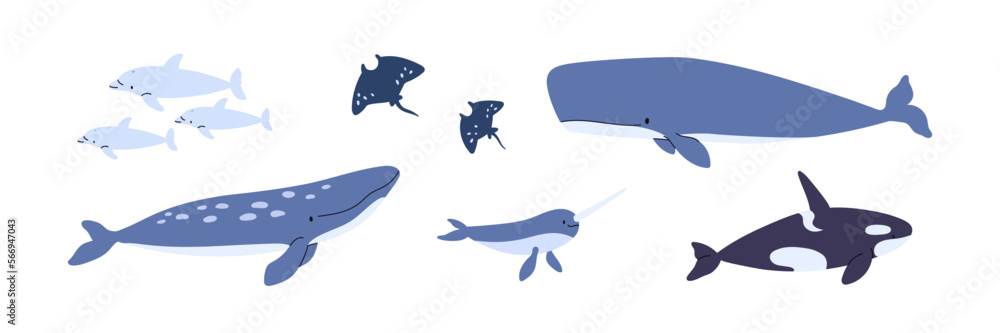 Sea animals set. Ocean fauna, dolphins, killer whale, narwhal, stingray ...