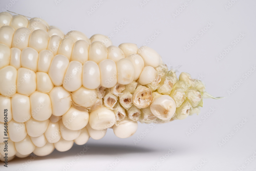 Pearl White Corn top part close up in isolated white background Stock ...