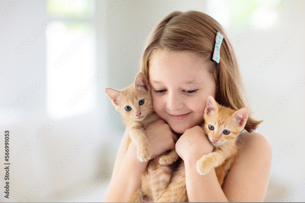 Little child holding baby cat. Kids and pets Stock Photo | Adobe Stock
