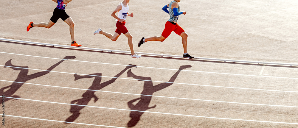 group runners run middle distance in stadium. shadows of silhouettes on ...