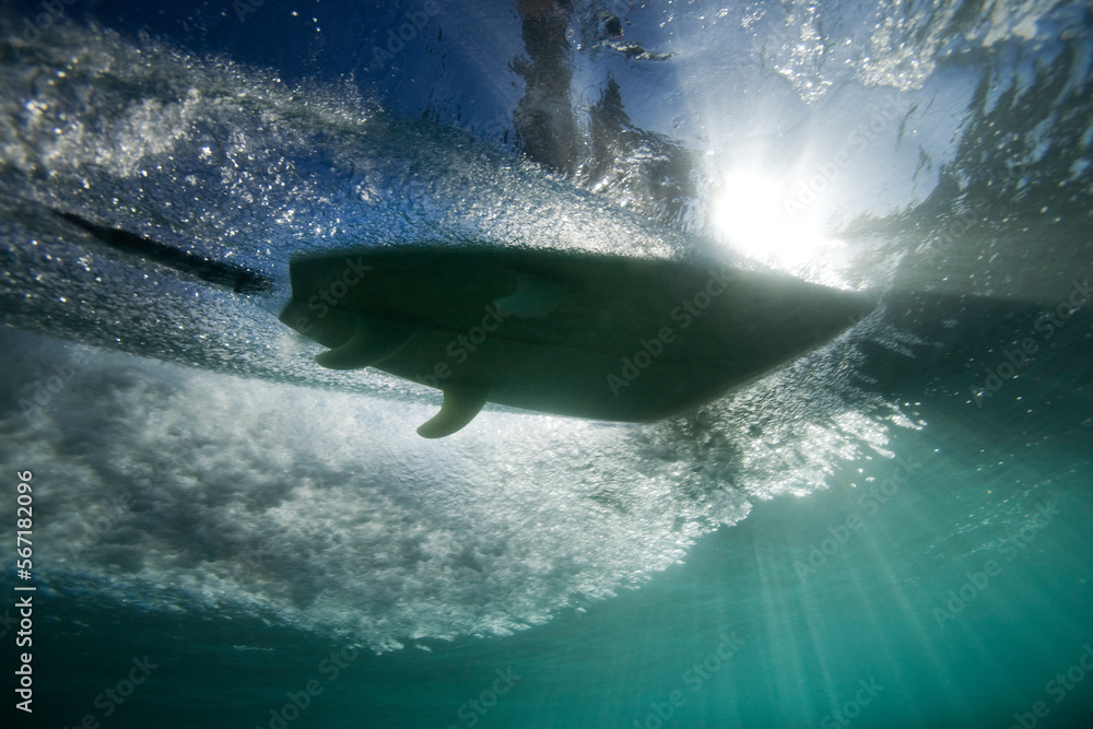 an underwater view of a surfboard catching a wave Stock Photo | Adobe Stock